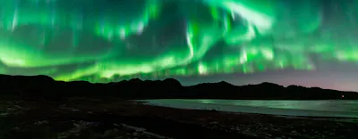 Gray Line Iceland - Day Tours and Airport Transfers
