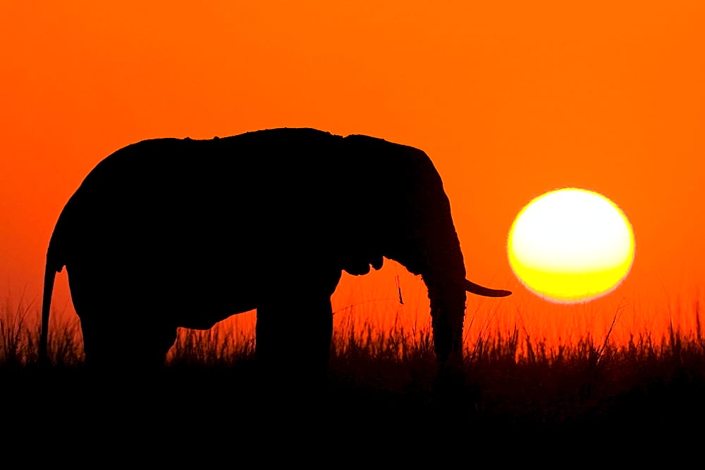 MoAfrika Tours - Africa's Leading Tour Operator Since 1999*
